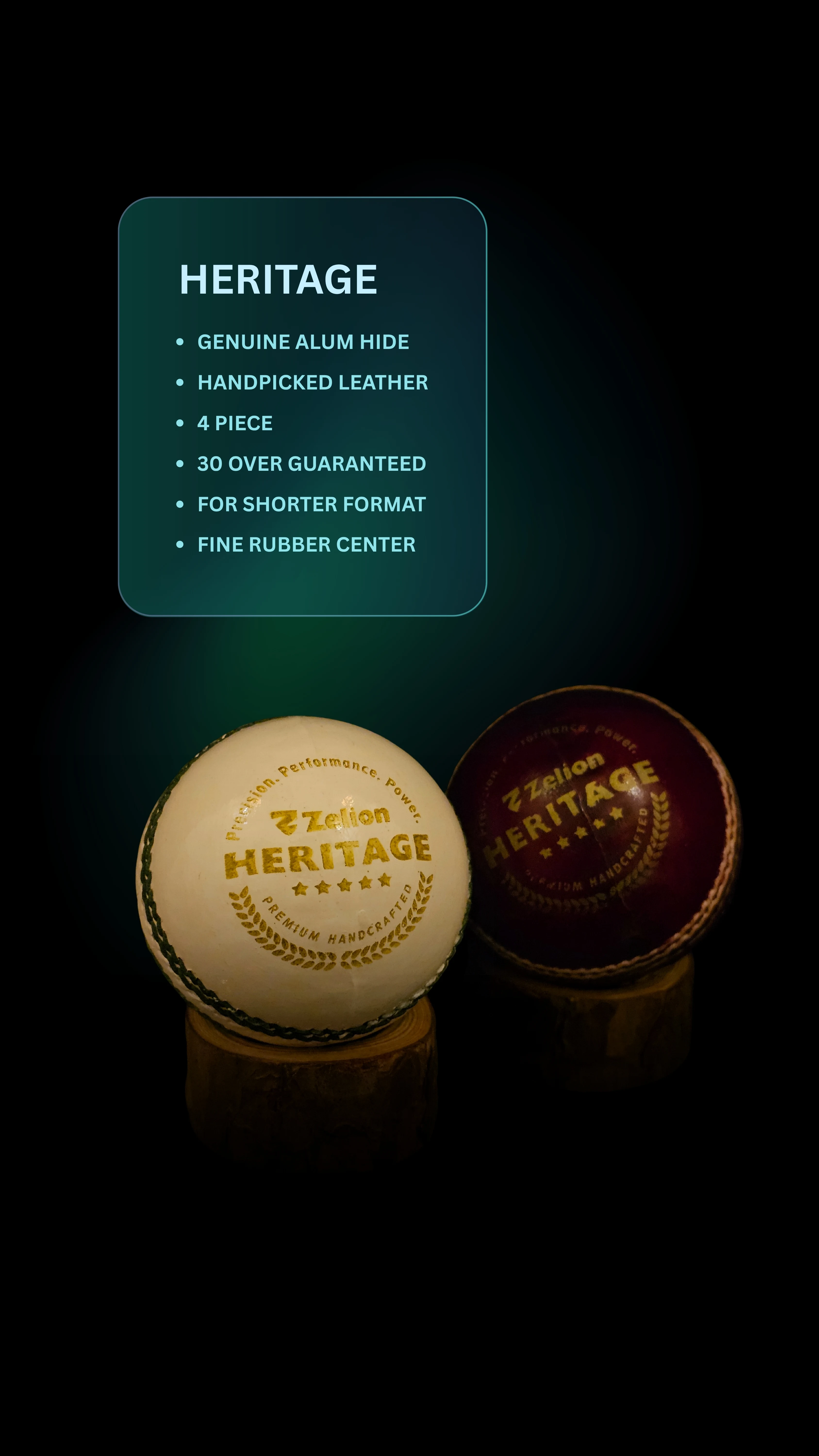Zelion Cricket