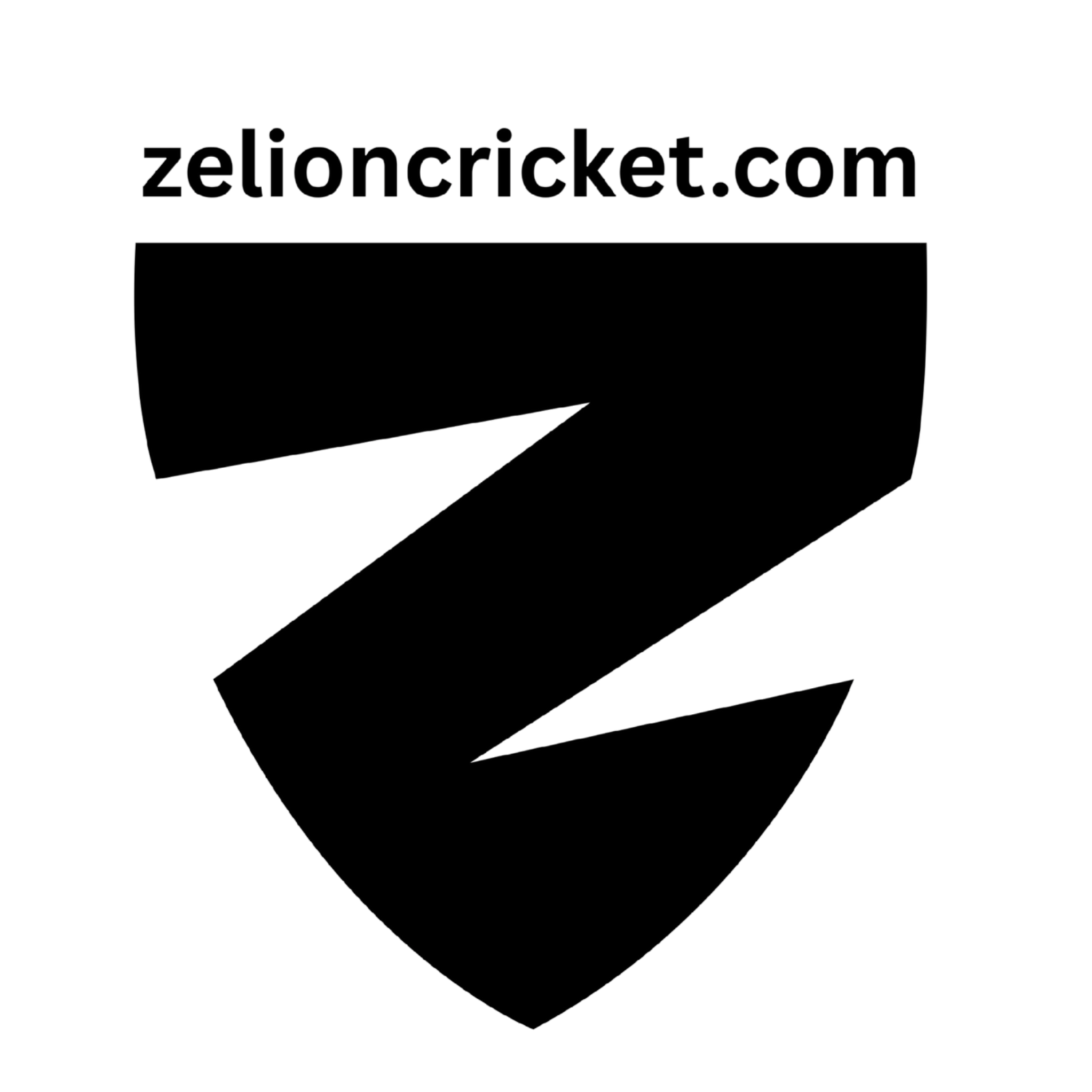 Zelion Cricket